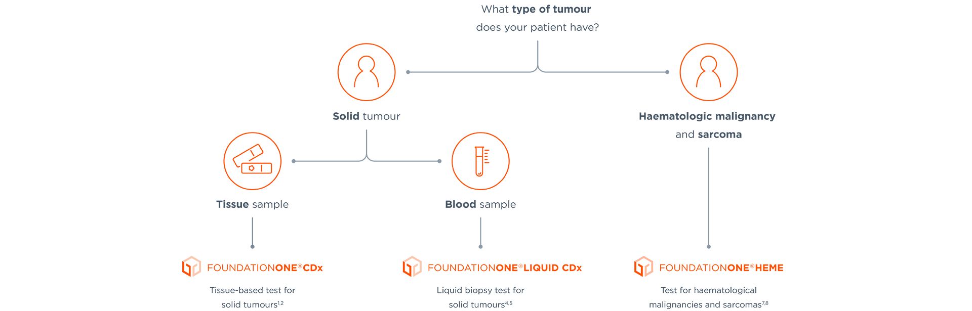 Roche Foundation Medicine | Our Services