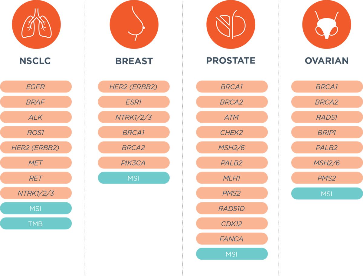 FoundationOne®Liquid CDx