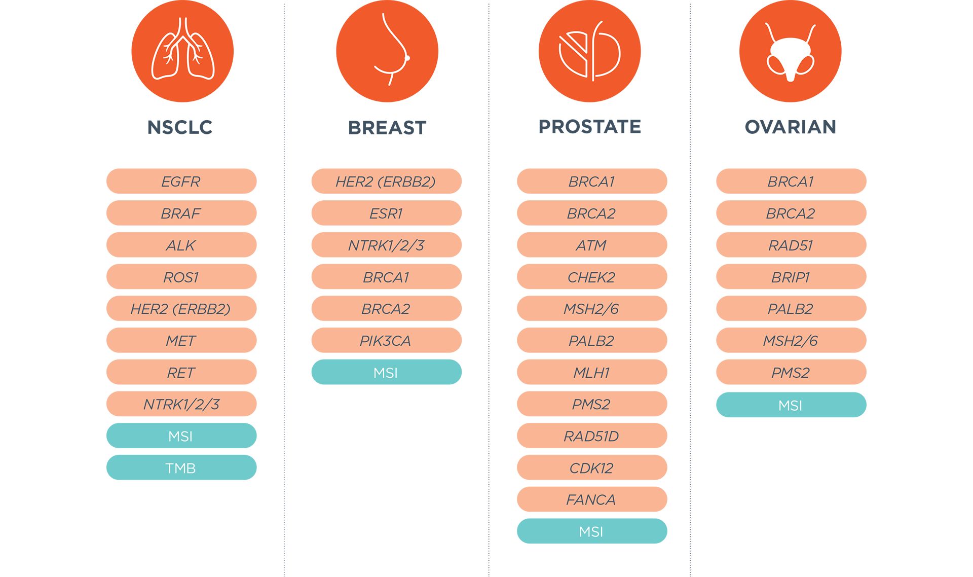 FoundationOne®Liquid CDx