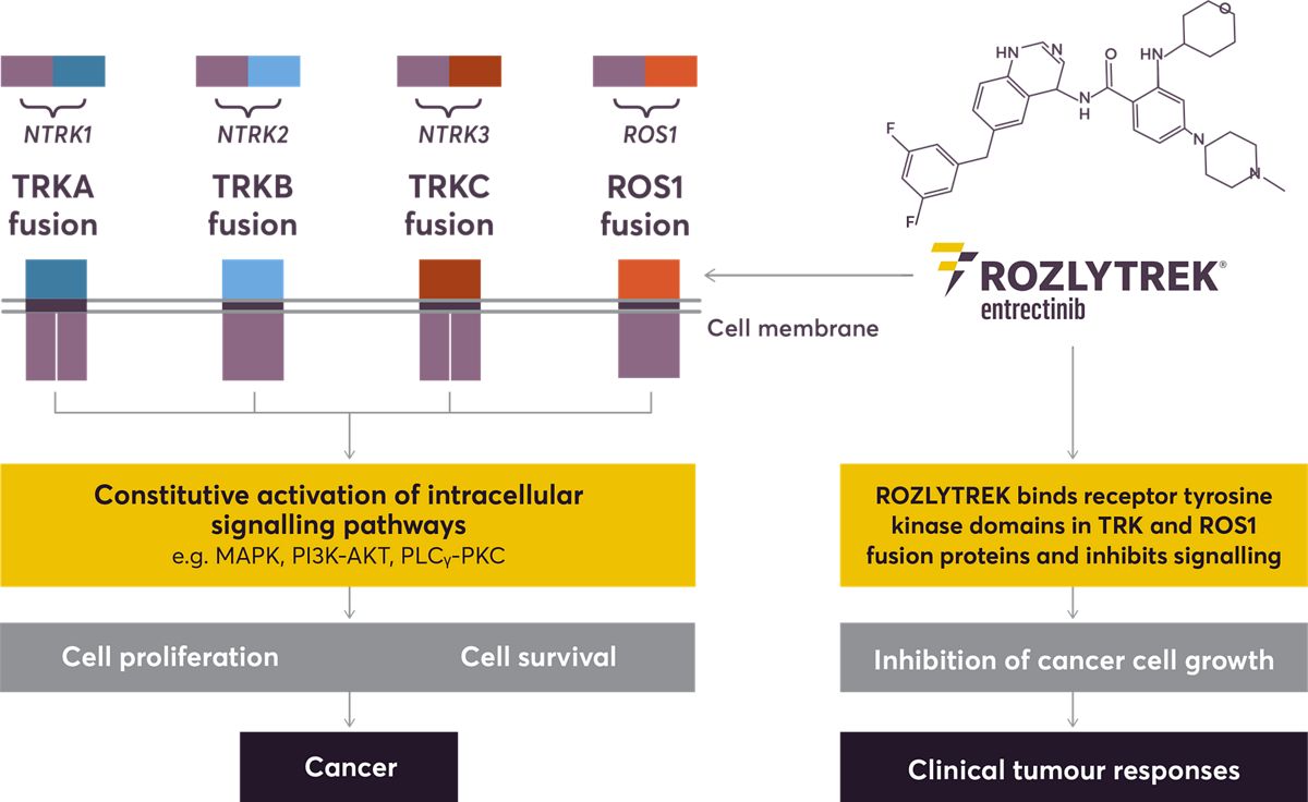 ROZLYTREK | What is ROZLYTREK?