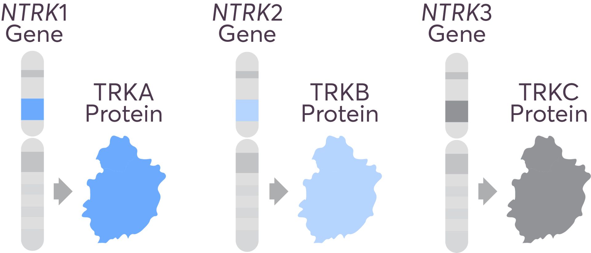 ROZLYTREK | Gene fusion detection